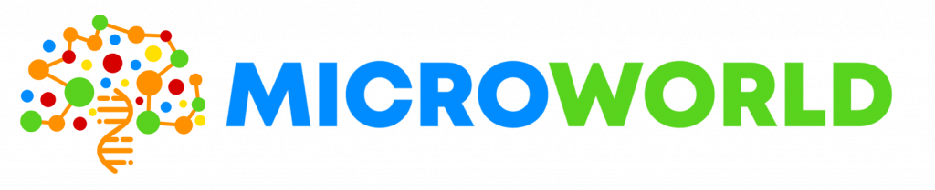 MicroworldRevisedLogoMockupwhite-1024x209.png